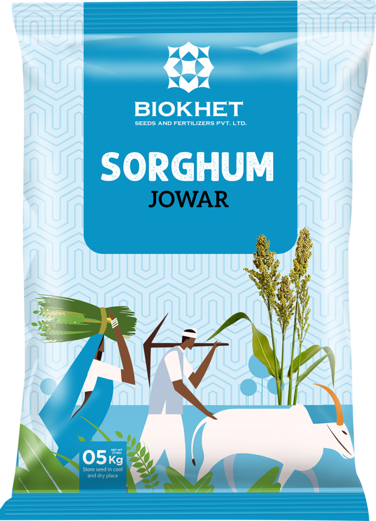 Sorghum – Biokhet