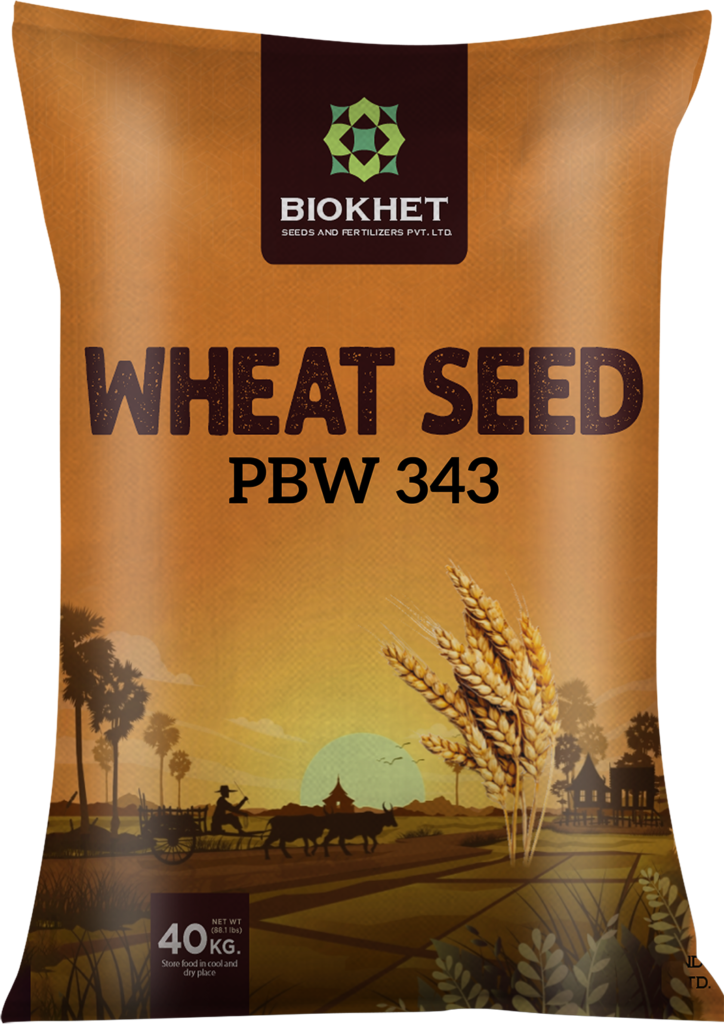 Wheat Seed – Biokhet